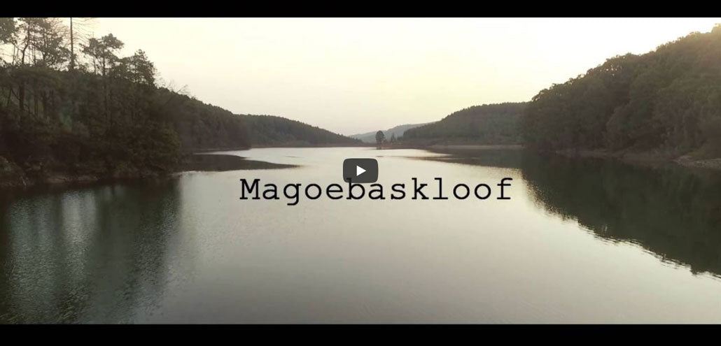 Magoebaskloof – For the First Time Ever – Hiking South Africa